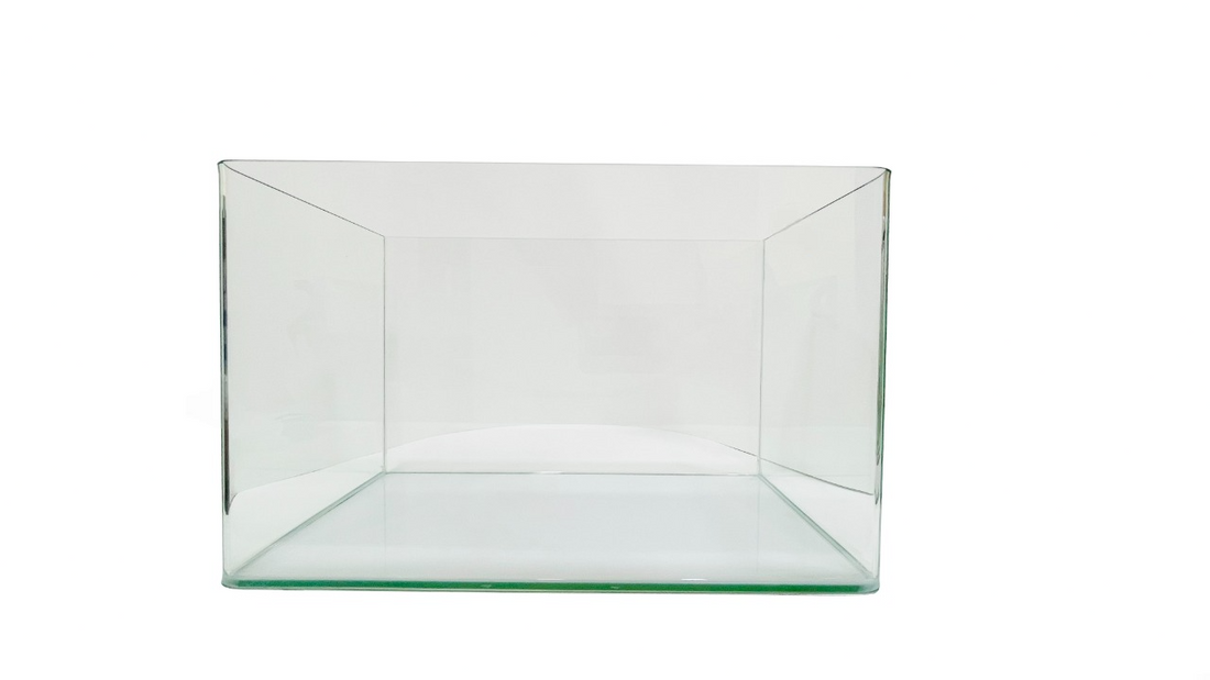 Aja curved glass tank (5 in 1) – Ajman Aquarium